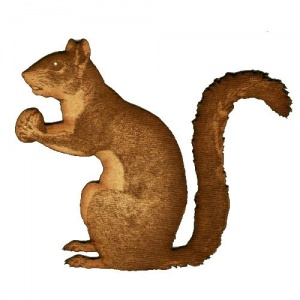Squirrel with Walnut MDF Wood Shape